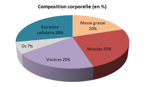 Anorexie mentale, boulimie, compulsions alimentaires et troubles du ...